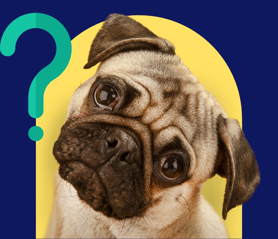 MEDDPICC Sales Methodology and Process - MEDDICC